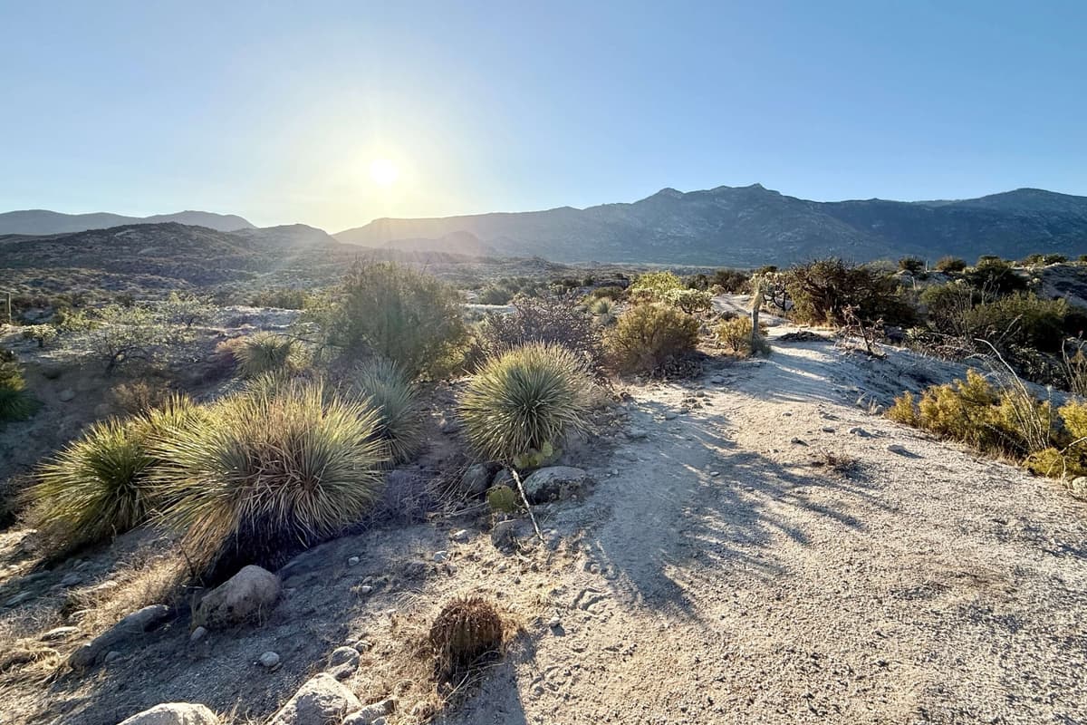Review: Miraval Arizona | Prince of Travel