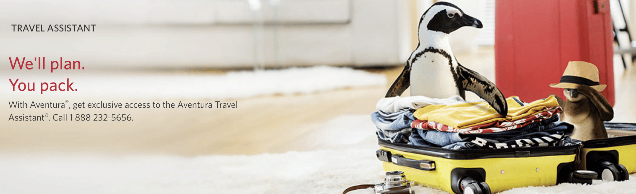 The Essential Guide to CIBC Aventura® | Prince of Travel